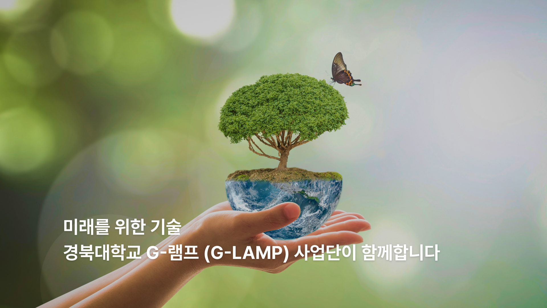 KNU G-LAMP Project | Results of Research